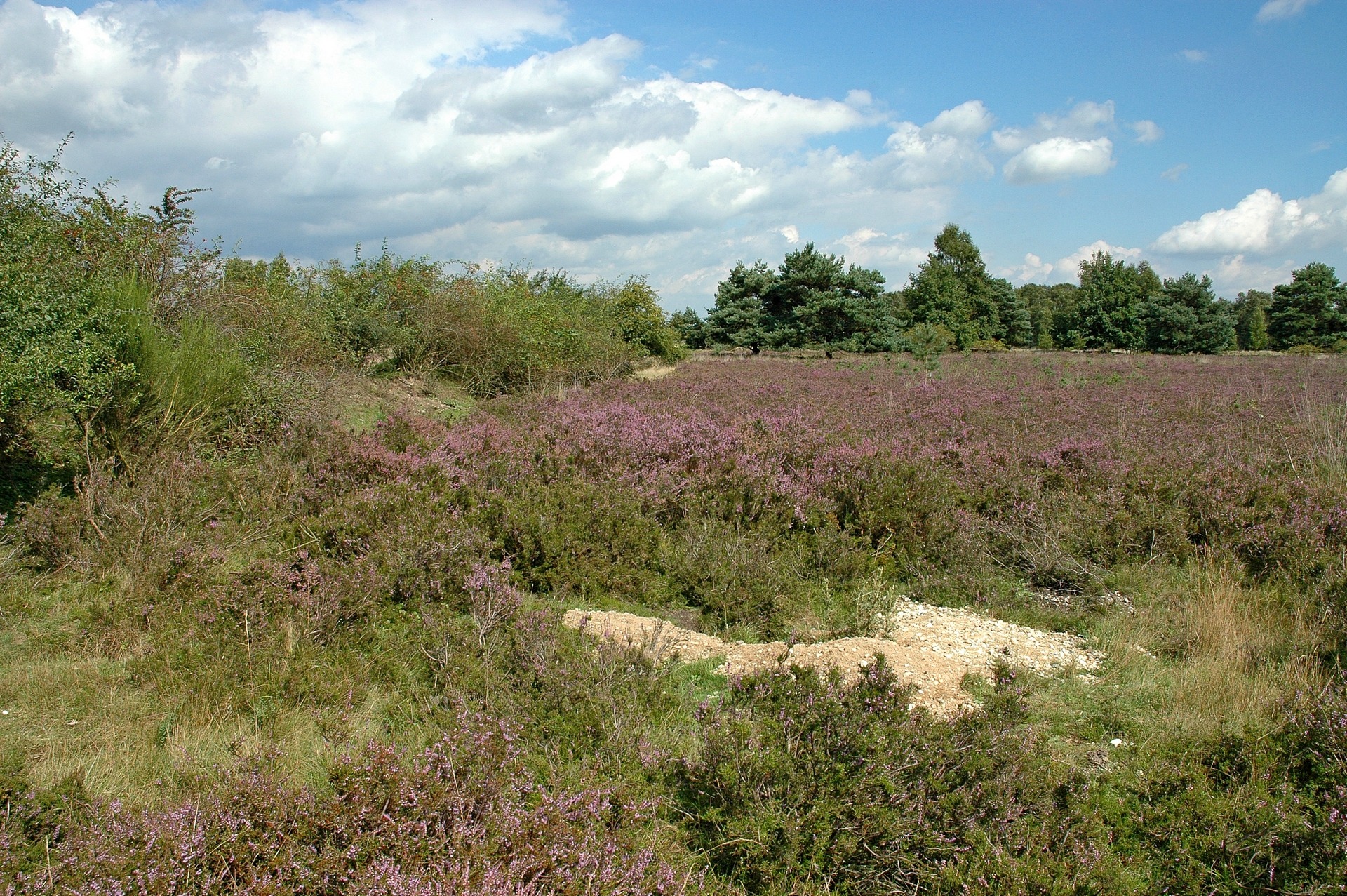 Groote Heide - Het Limburgs Landschap