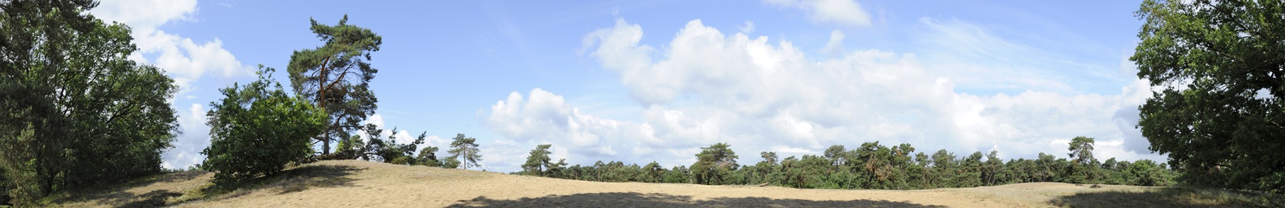 Bosserheide Het Limburgs Landschap