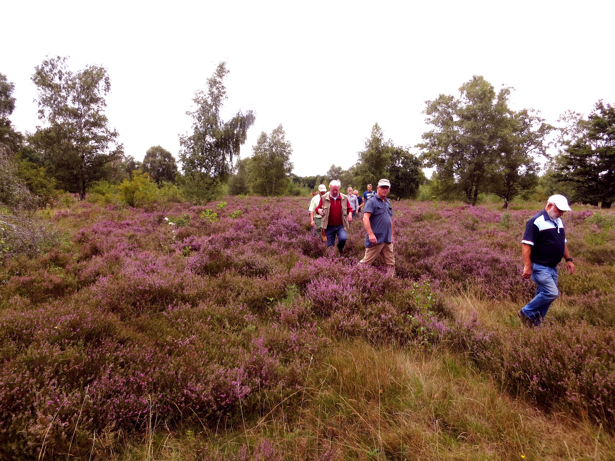 Groote Heide - Het Limburgs Landschap